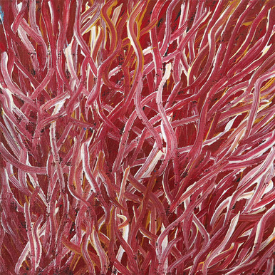 Aboriginal Artwork Painting MB059707 by Barbara Weir