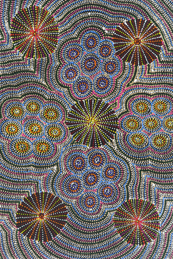 Aboriginal Artwork Painting MB061036 by Annie Hunter Petyarre