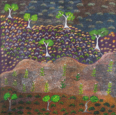Aboriginal Artwork Painting MB062522 by Colleen Morton Kngwarreye