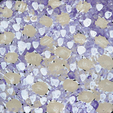 Aboriginal Artwork Painting MB055717 by Geyla Pwerle