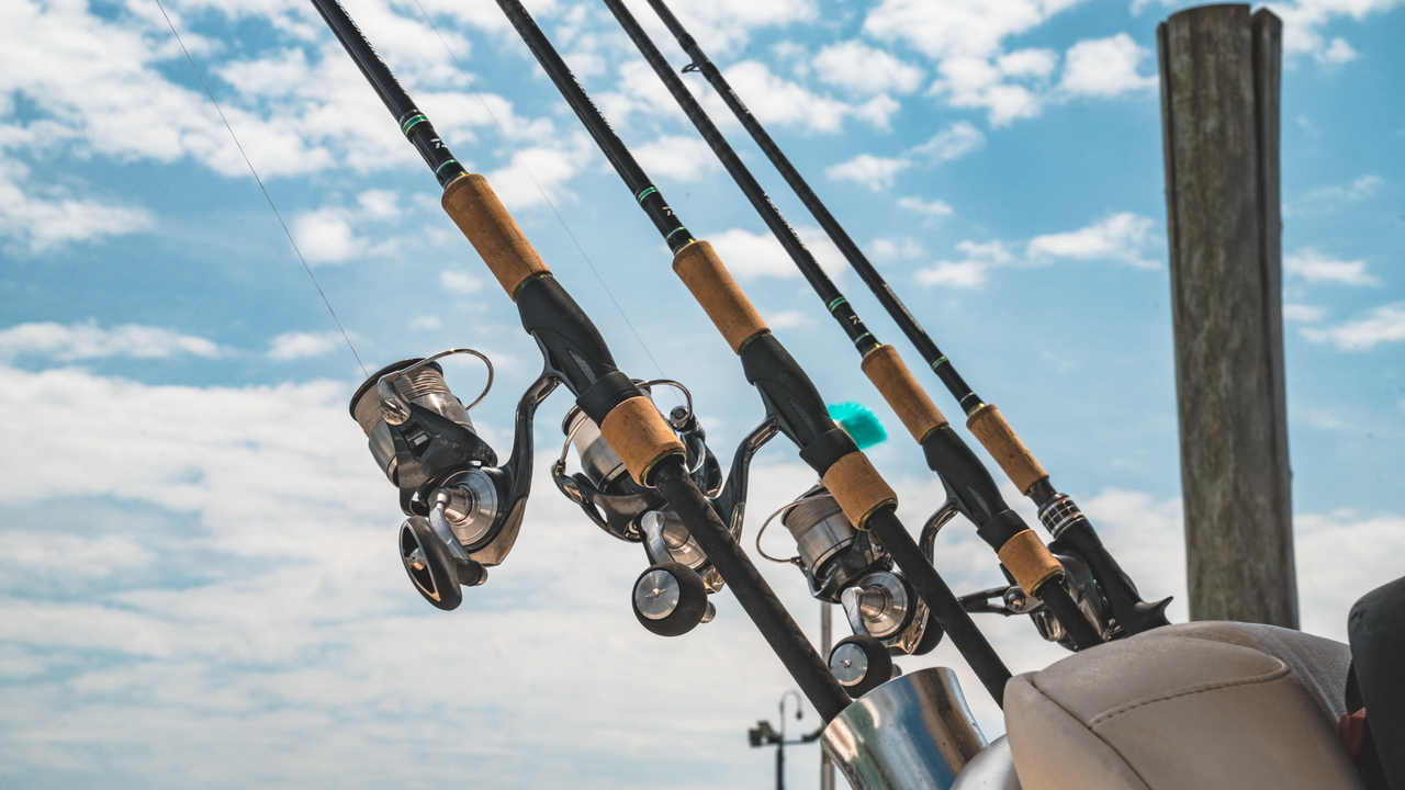 Daiwa Blackline Inshore Rod