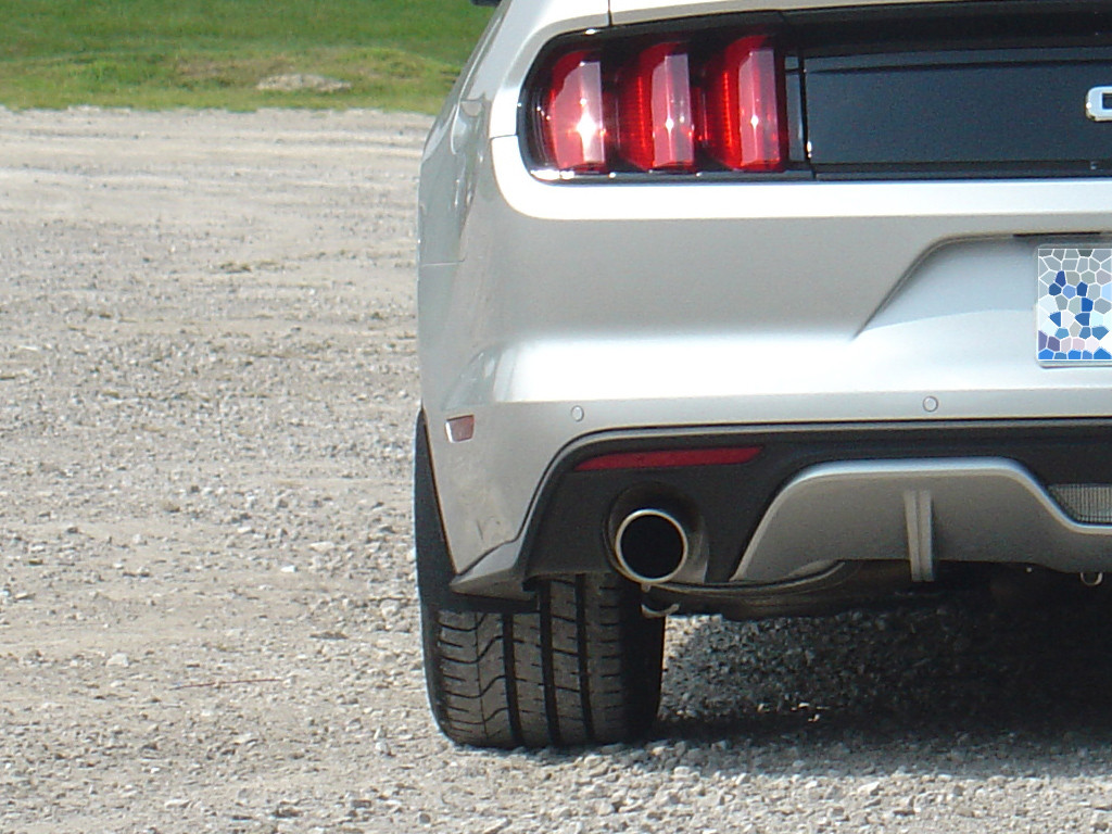 2015-2023 Mustang Splash Guards, Full Set