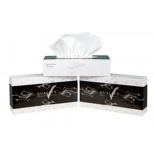 Provada Premium Facial Tissues 2 Ply 100 Sheets - PrimeWork