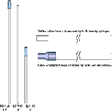 Reproduction Provisions