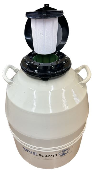 MVE Liquid Nitrogen Semen and Embryo Storage Tanks