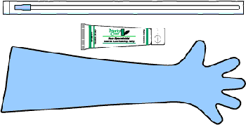 Equine Insemination Kits (Multiple Options)