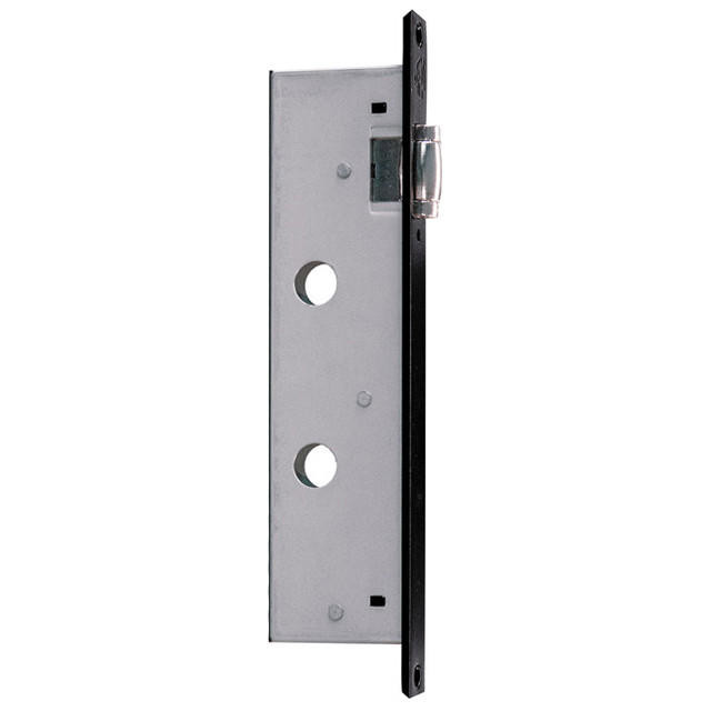 Internal Door Latches