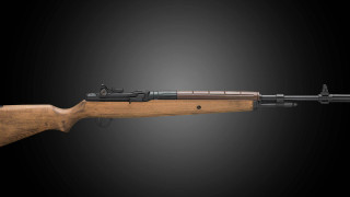 Airguns - Air Rifles - Springfield Armory