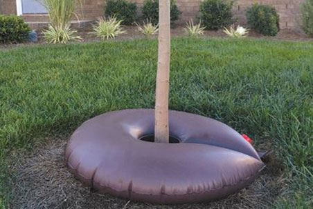DeWitt Tree Watering Donut - Oakland Nurseries