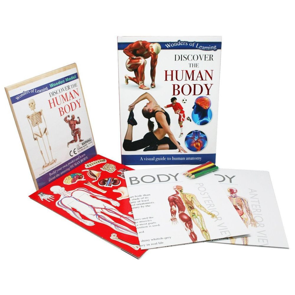 DISCOVER HUMAN BODY- box set - Školska knjiga webshop