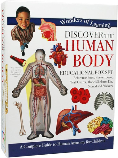 DISCOVER HUMAN BODY- box set - Školska knjiga Web shop