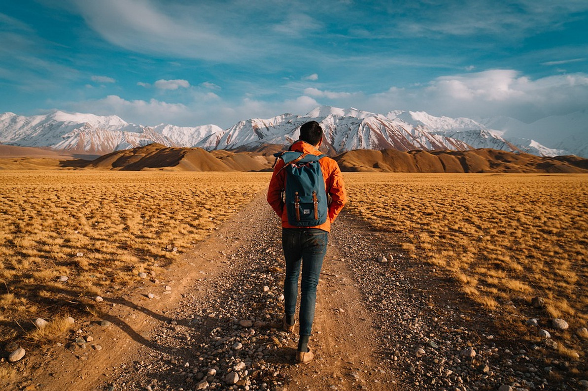 Does Air Pollution Negate The Health Benefits Of Walking