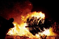 Christmas Tree Fire Safety Tips - SafetyCompany.com