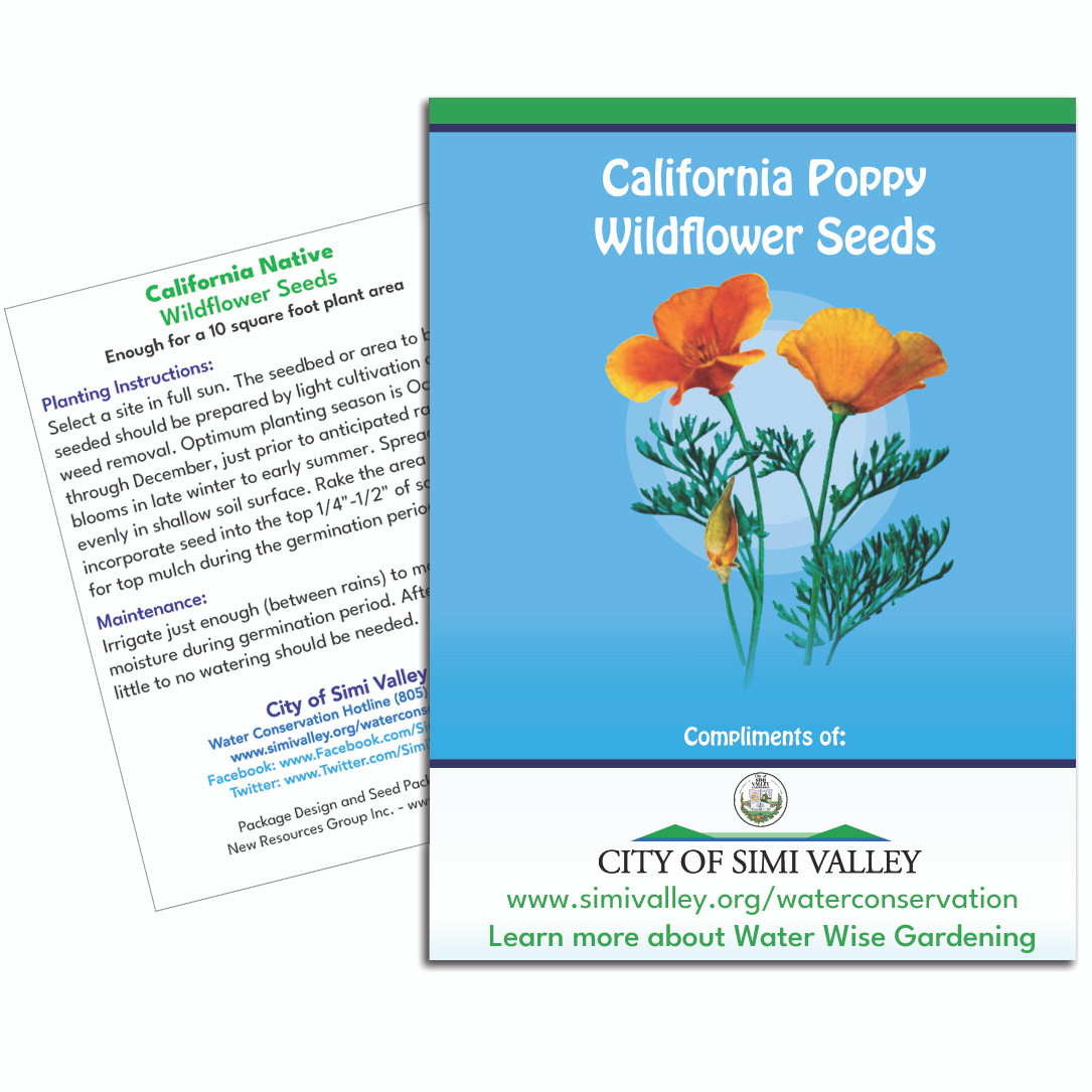wildflower seed packets