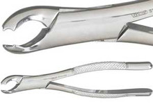 Miltex Vantage Extracting Forceps, 17, ea | Optimus Dental Supply