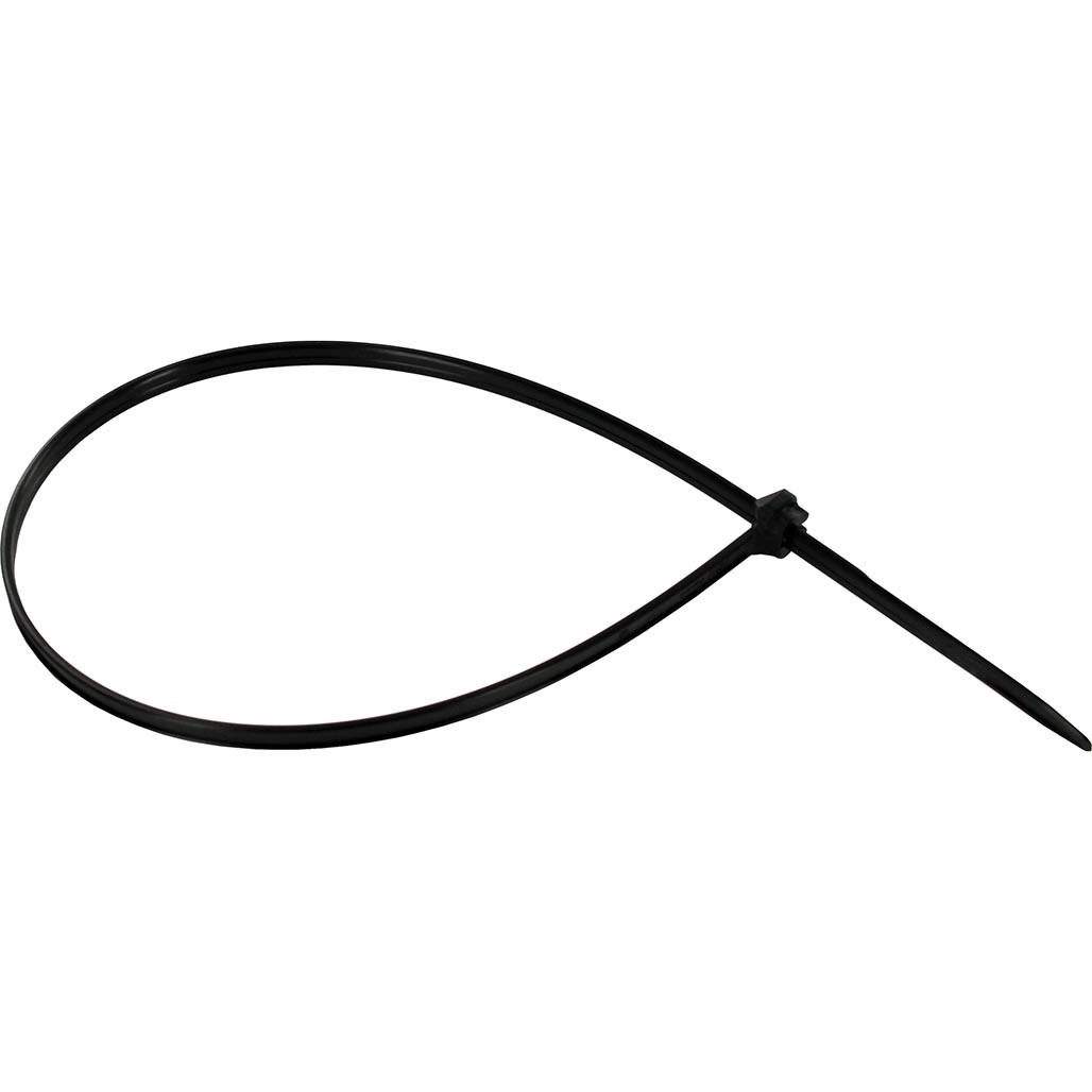 Disposable Restraints