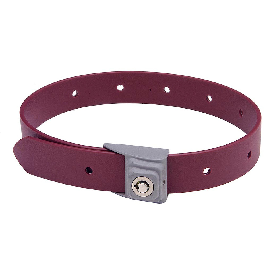Humane Restraint Locking Belts