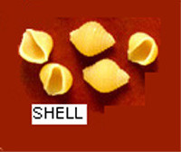 MACARONI SHELL BULK