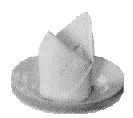 TABLE NAPKIN COTTON DAMASK WHITE 450MM SQUARE - IMPA 171471