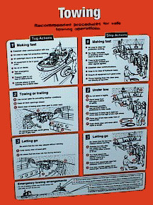 POSTER LIFERAFT LAUNCHING 480X330MM - IMPA 331502