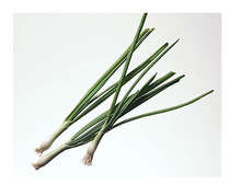 CHIVES STEM FRESH