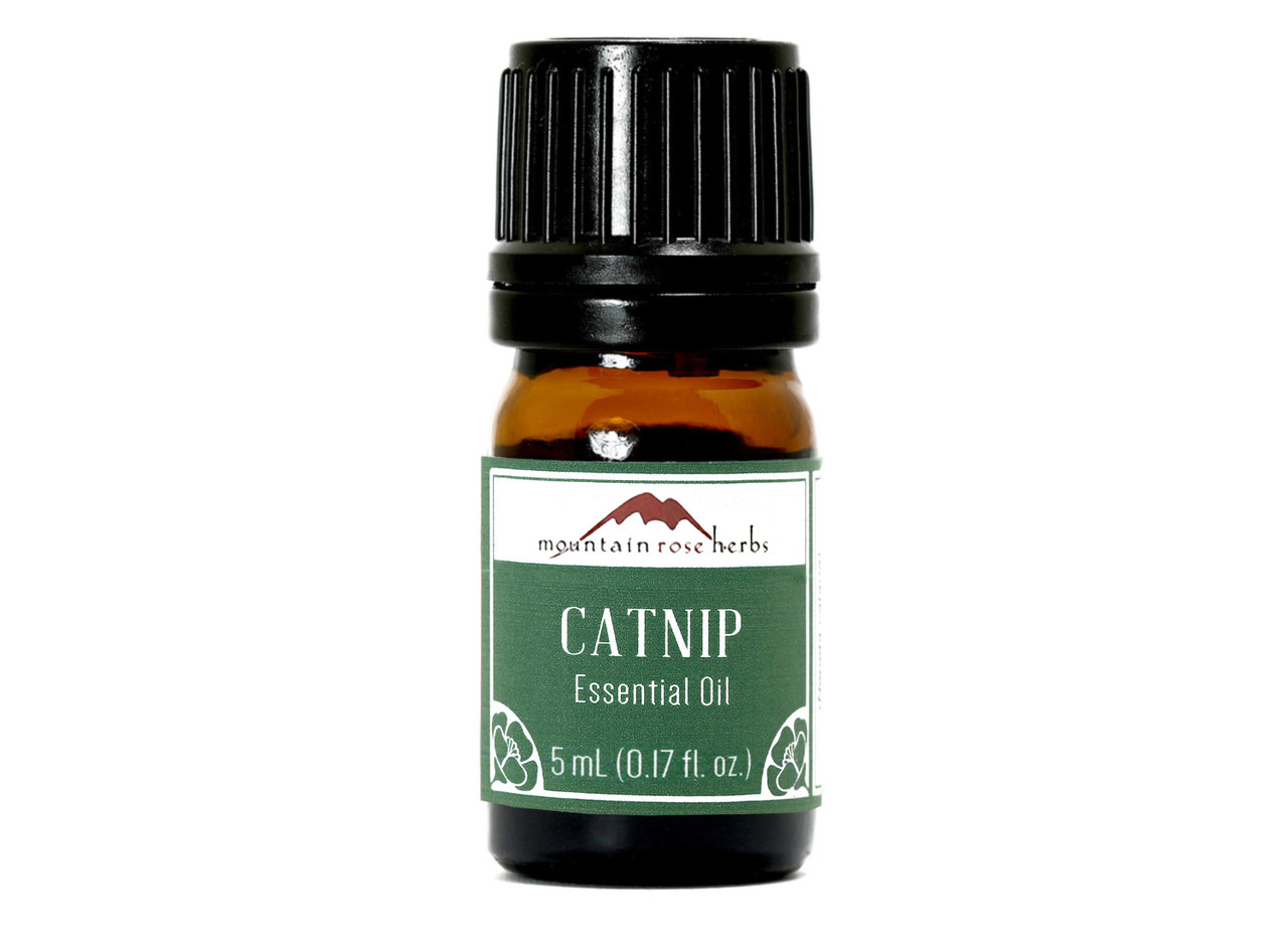 Catnip