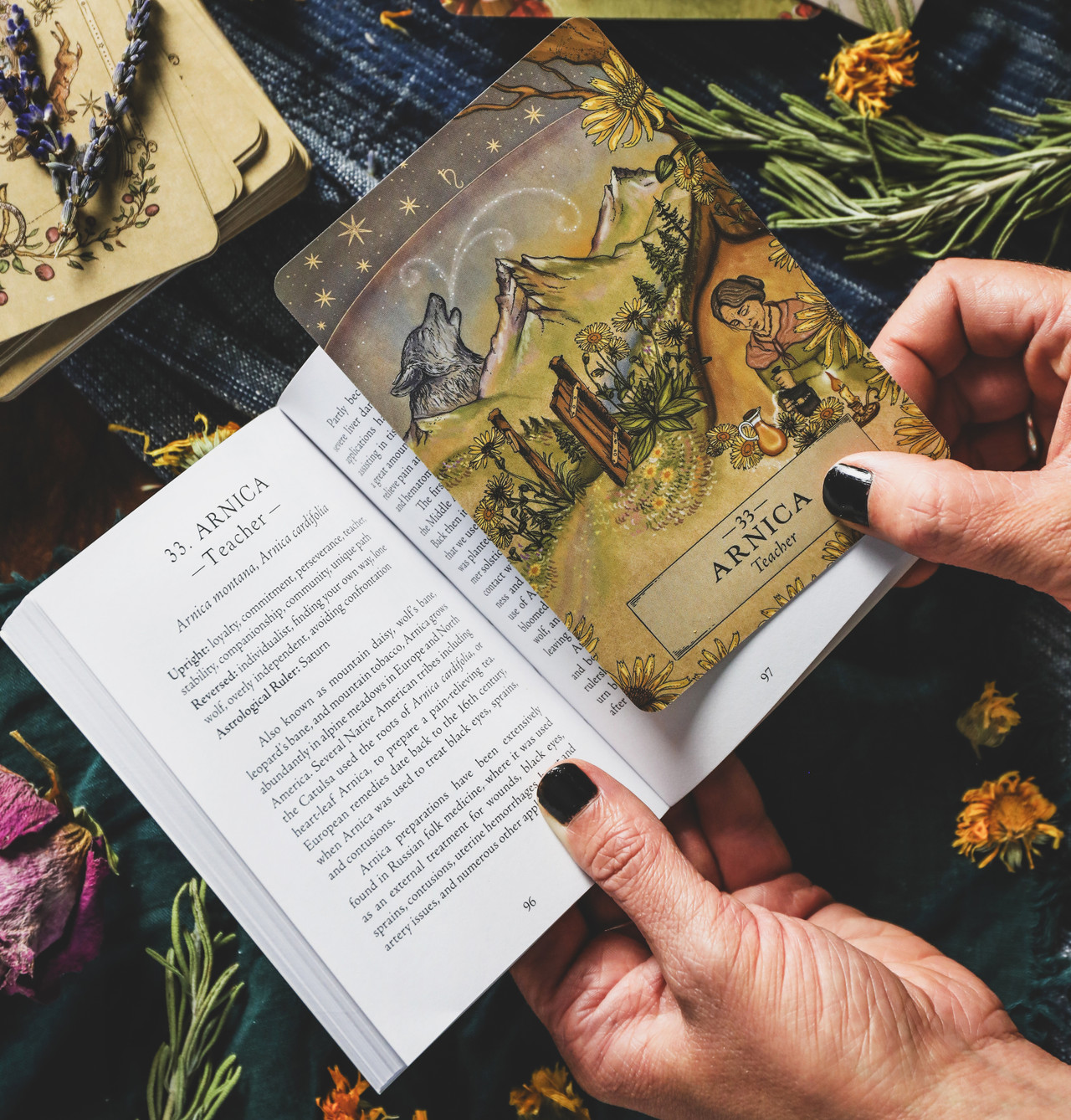 The Herbal Astrology Oracle