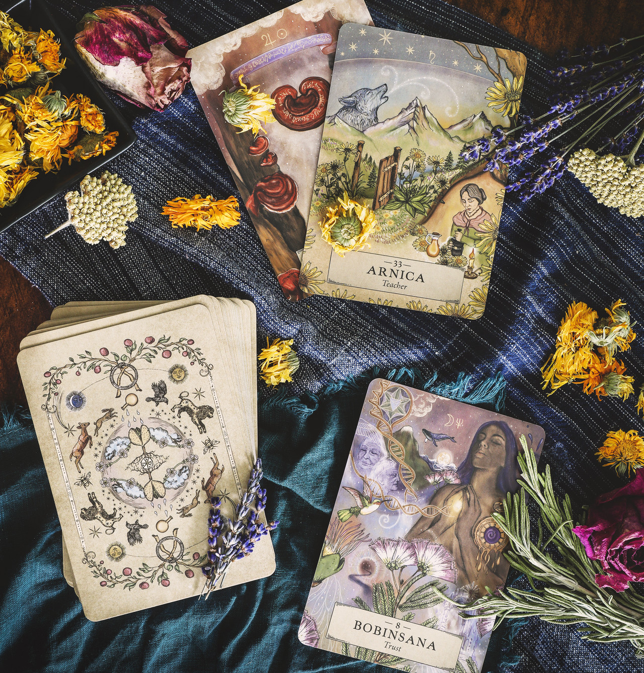 The Herbal Astrology Oracle