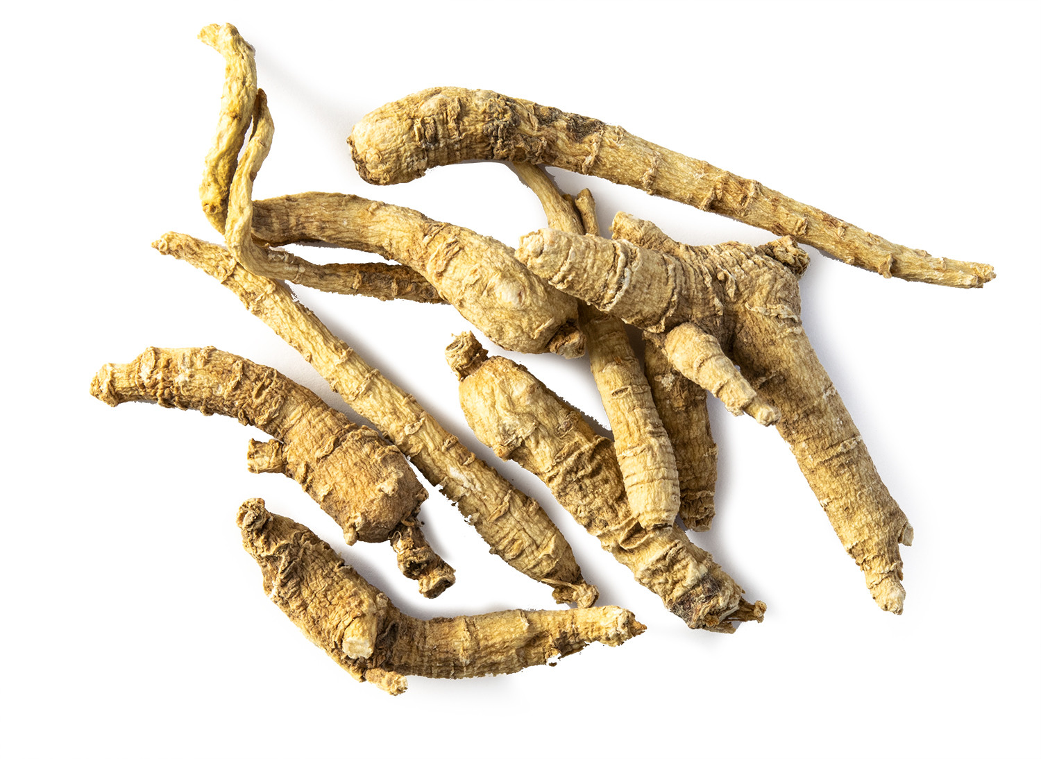 Red Ginseng Root