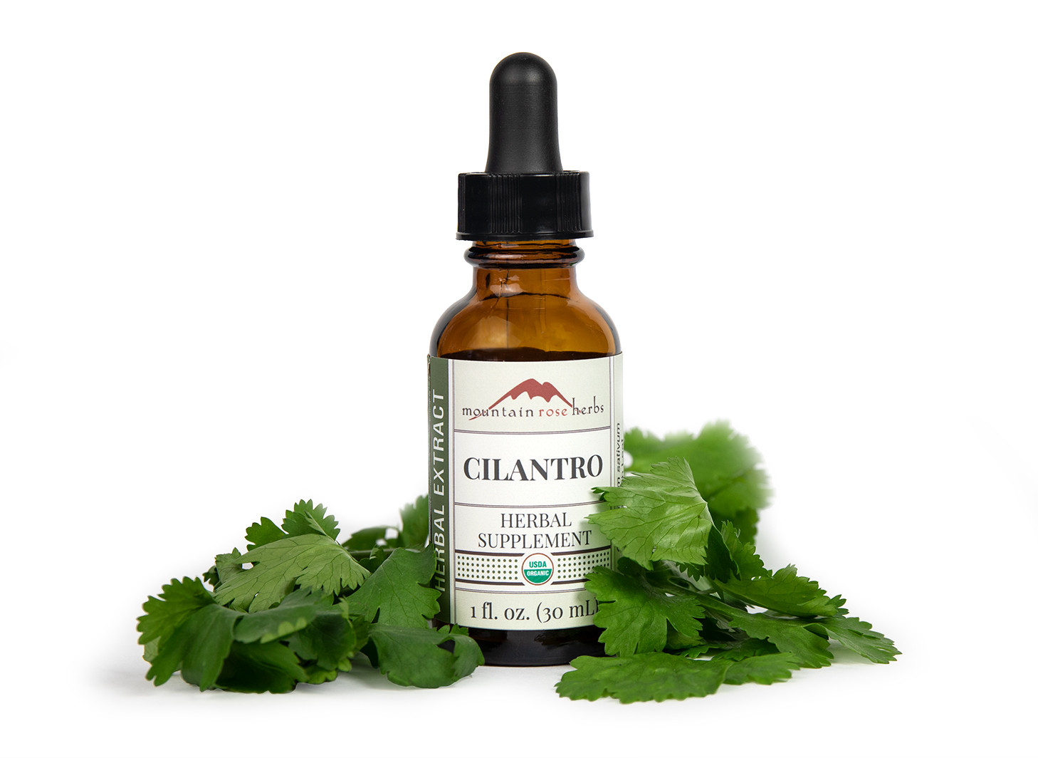 Cilantro