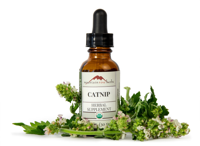 Catnip Extract