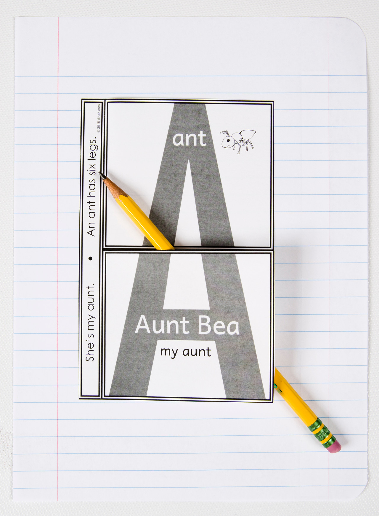 Homophones: ant, aunt - dzdownloadablefoldables