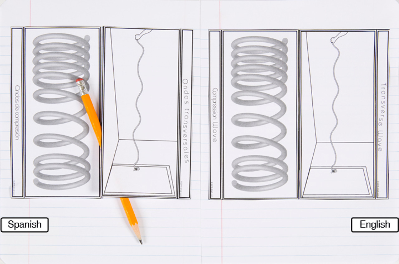 Parts Of A Wave Frequency And Length Dzdownloadablefoldables Parts Of A Wave Frequency And Length Dzdownloadablefoldables