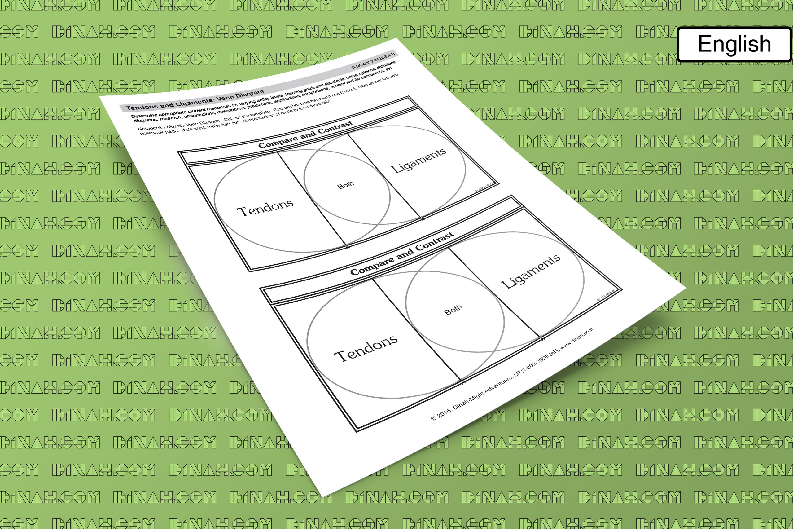 Tendons and Ligaments: Venn Diagram - dzdownloadablefoldables