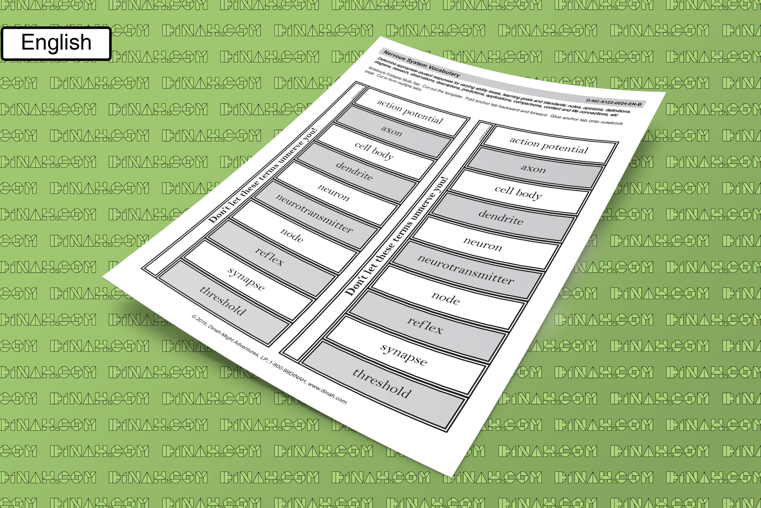 Nervous System Vocabulary - dzdownloadablefoldables