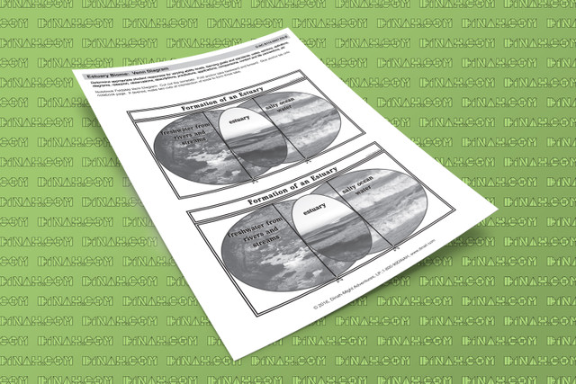 Estuary Biome: Venn Diagram - dzdownloadablefoldables