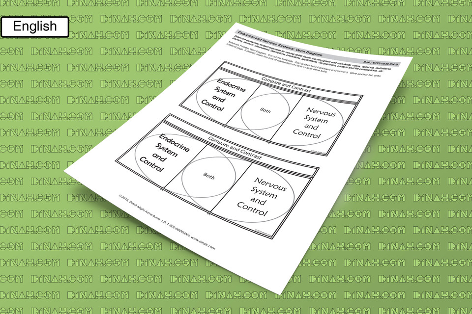 Endocrine and Nervous Systems: Venn Diagram - dzdownloadablefoldables