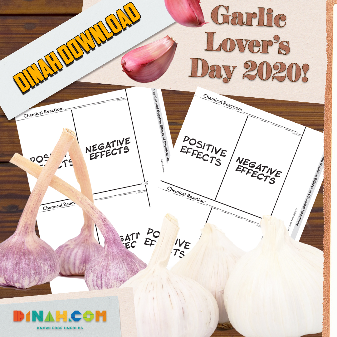 Chemical Reaction Notebooking Foldable! - dzdownloadablefoldables