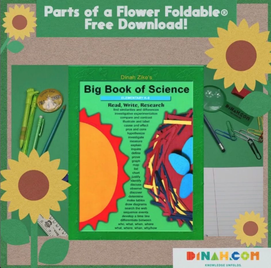Parts of a Flower Foldable! - dzdownloadablefoldables