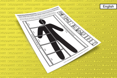 Human Body Words and Features - dzdownloadablefoldables