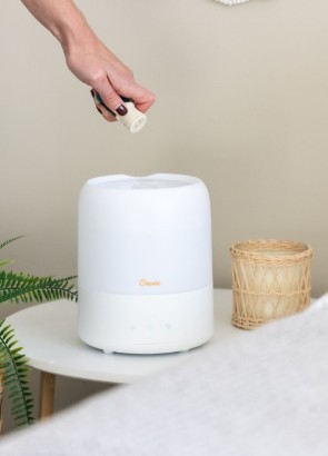 Humidifier and store