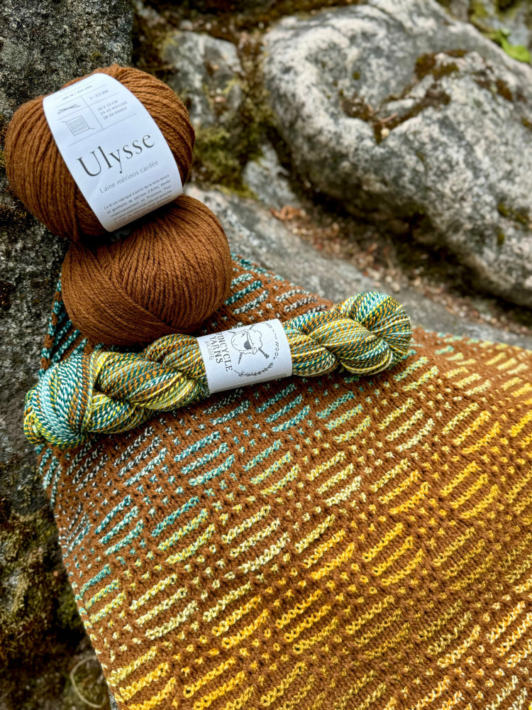 Grid Gambit Cowl Kit - The Websters