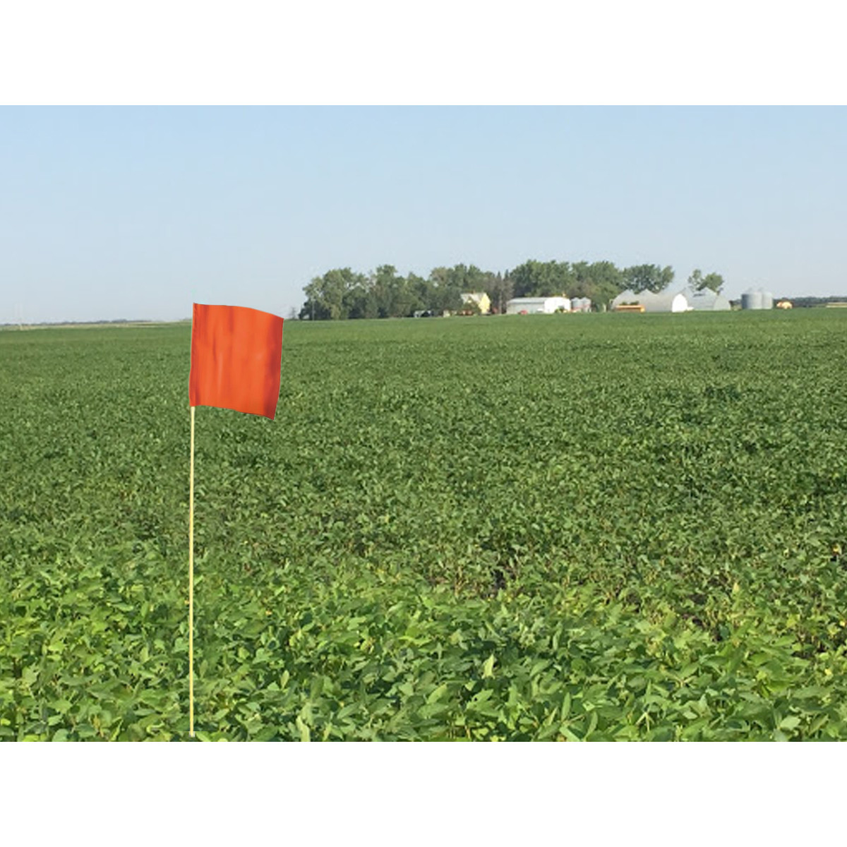 Square Replacement Flag 10"x 10" | Country Enterprises Inc.