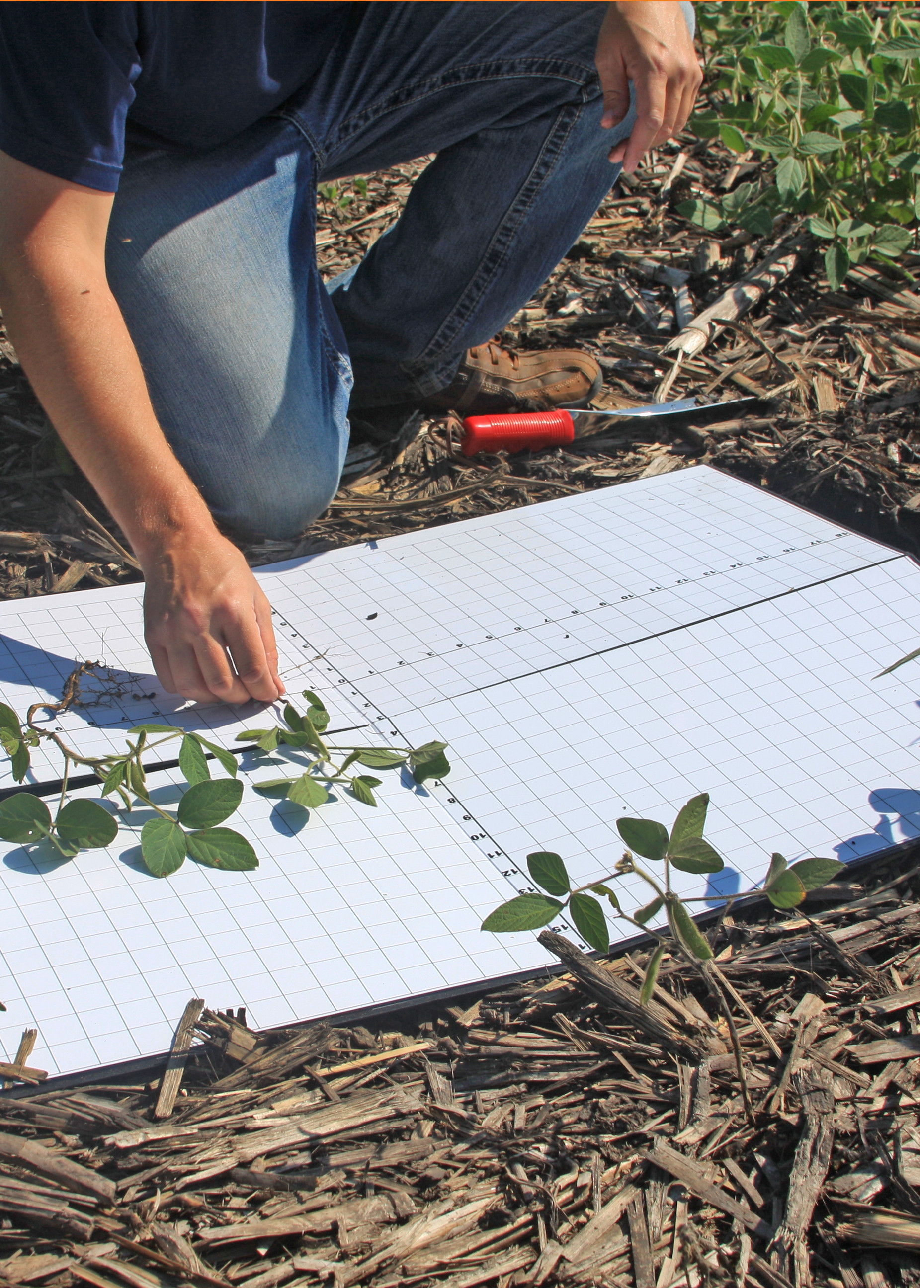 Folding Root Board | Country Enterprises Inc.