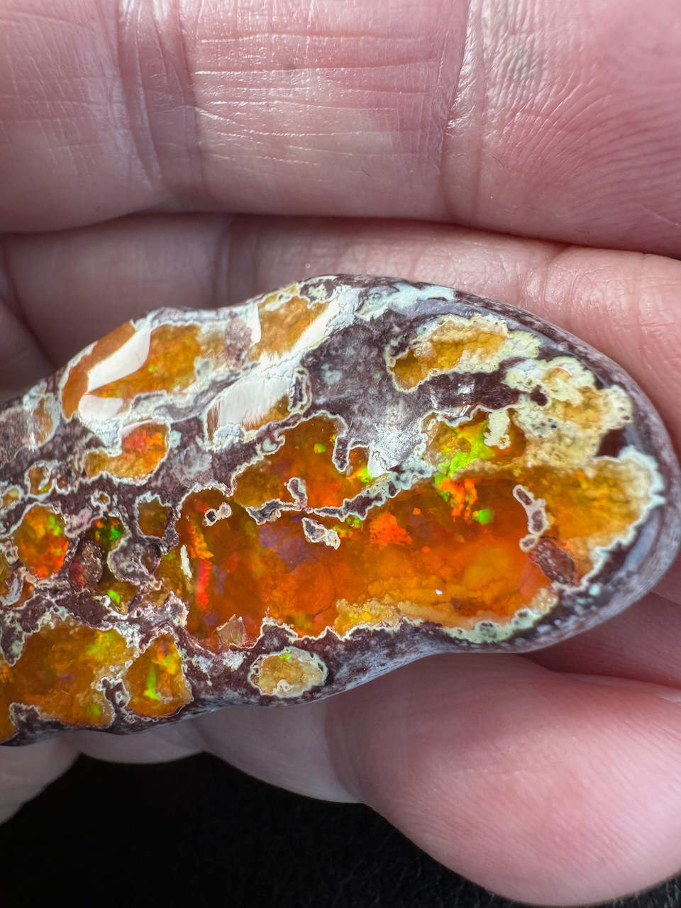 Honeycomb Lace - Mexican Matrix Opal - 79 carats - Marty Magic Store