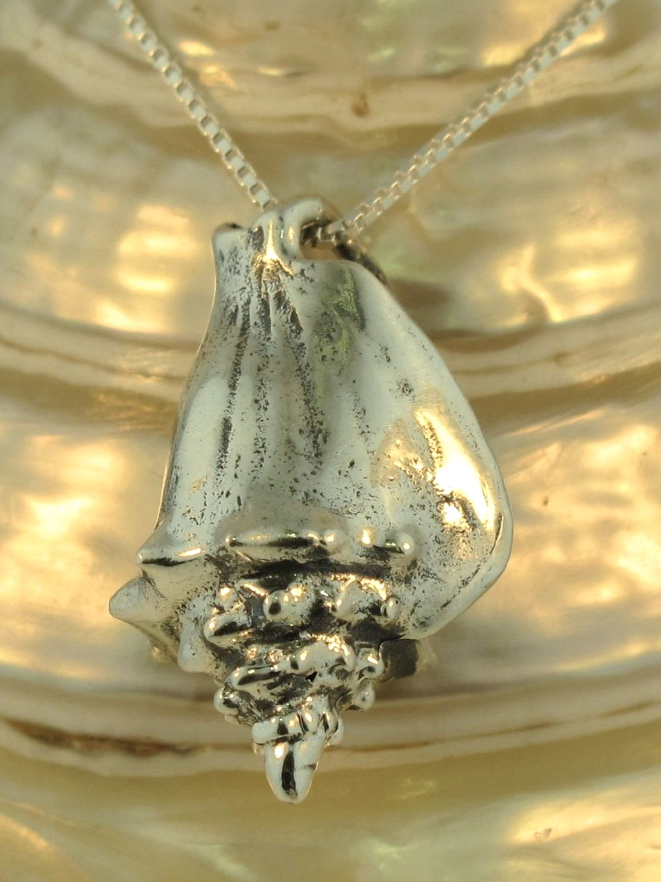 Sea Life - Conch Shell Charm Jewelry