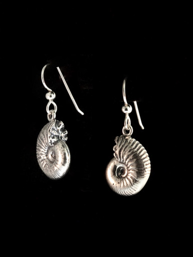 Ammonite Earrings - Sterling Silver - Marty Magic Store