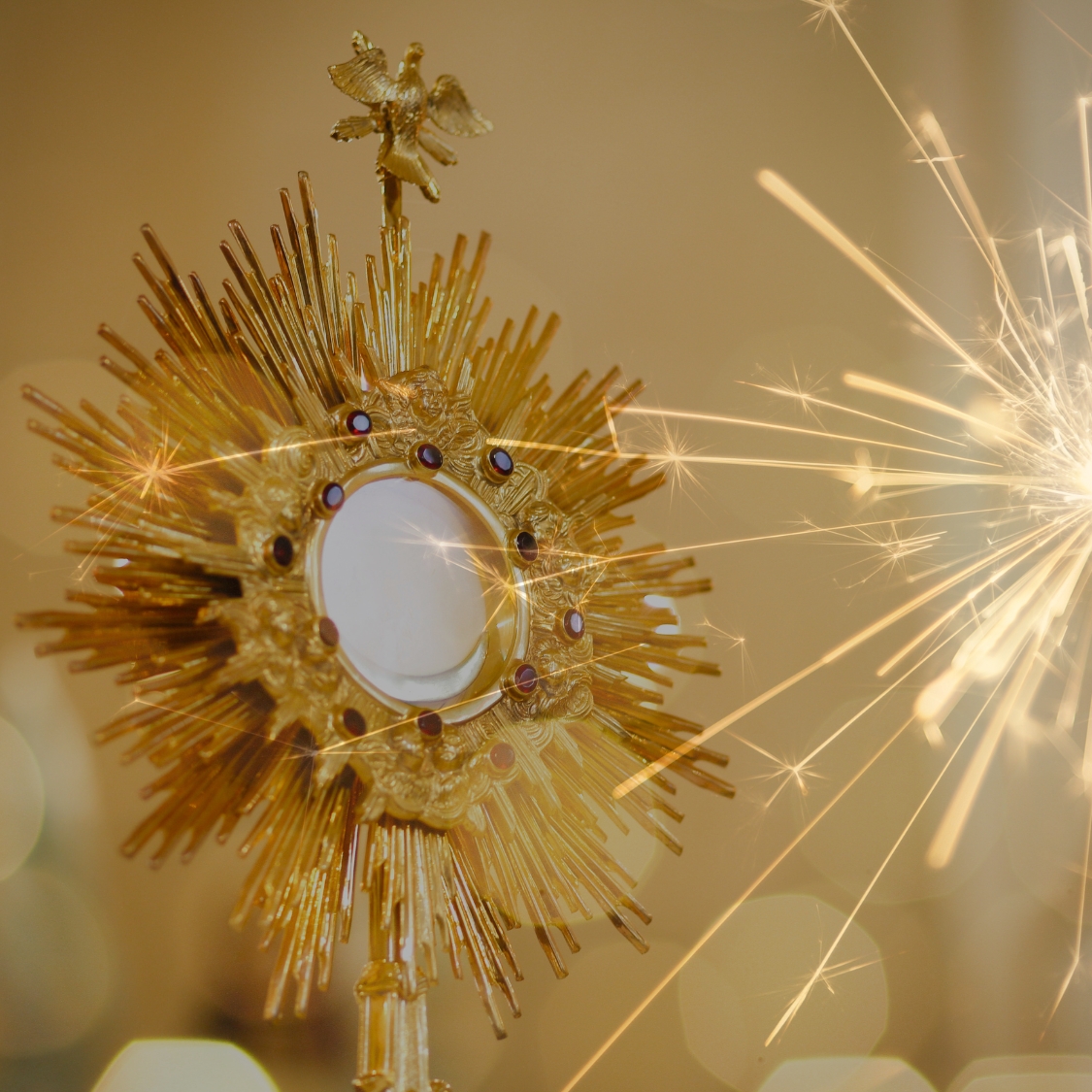 Putting The “Christ” Back In Christmas: A Special First Communion on ...