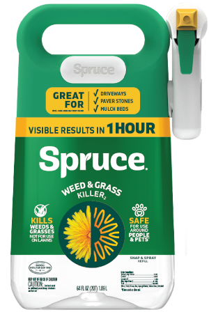 Why Spruce