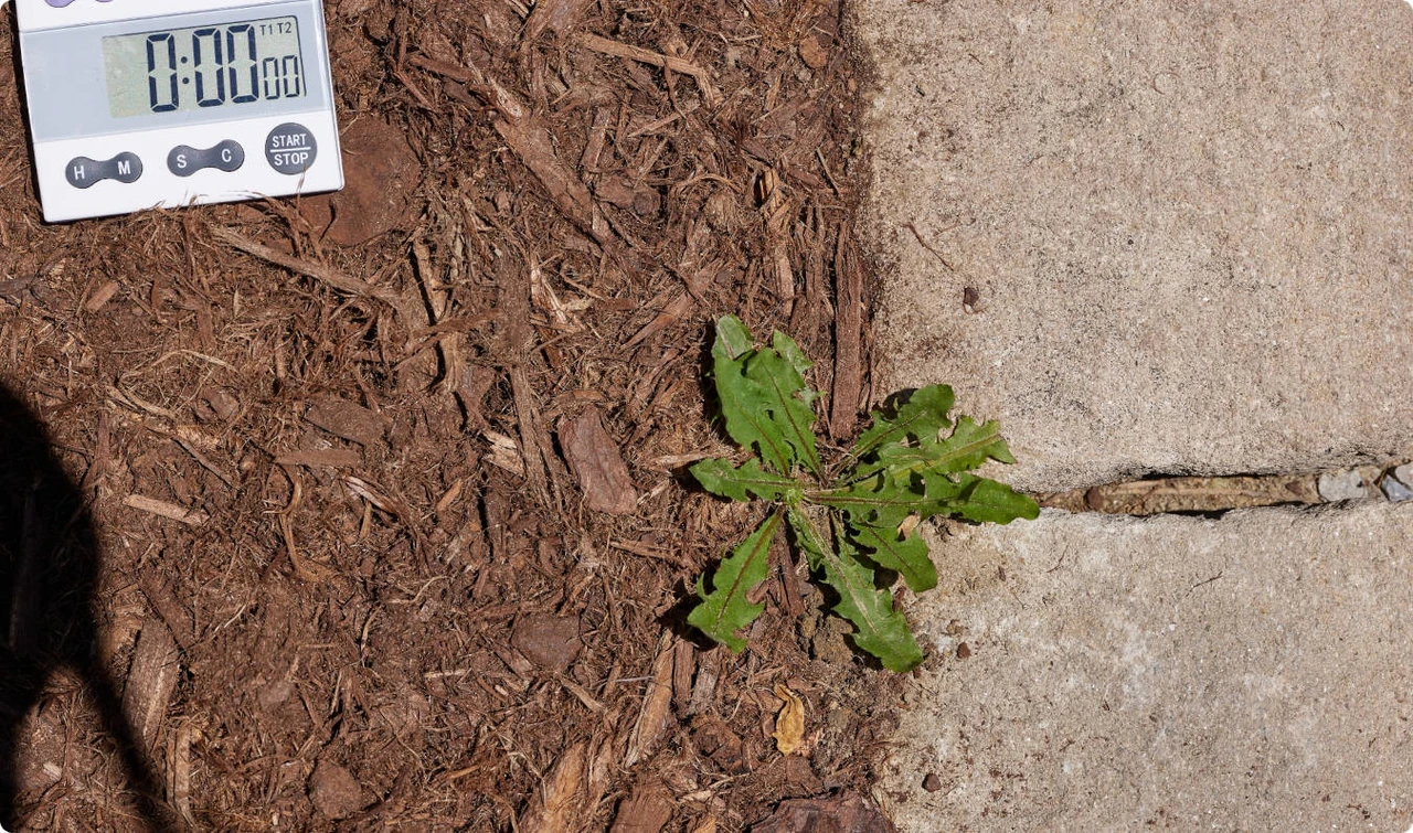 10oz EZ-AIM Weed & Grass Killer